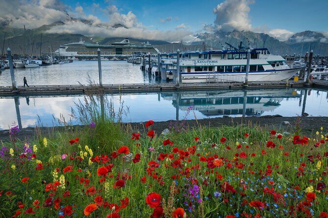 Seward to Anchorage Scenic Transfer Photo Tour - Why This Tour Offers Great Value
