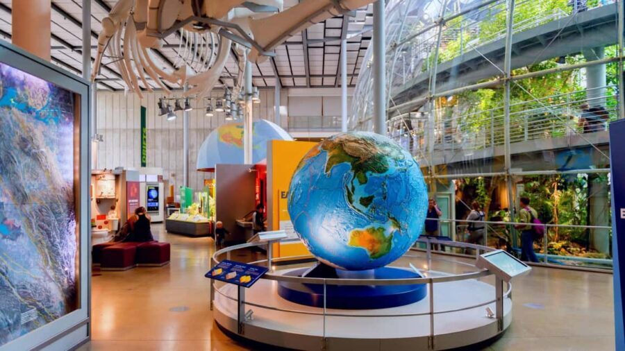 SF: CA Academy of Sciences & Hop-on Hop-off Tour (Save 15%) - How the Itinerary Plays Out