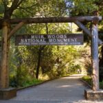 SF: Muir Woods, Sausalito, Golden Gate Bridge Private Tour - What the Price Offers and Who It’s Best For
