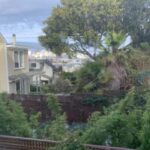 SF: Painted Ladies and the Harlem of the West Historic Tour - FAQ