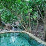 Shaded Hot Spring, Massage and Mex Grill in Puerto Vallarta - Who Will Love This Tour?