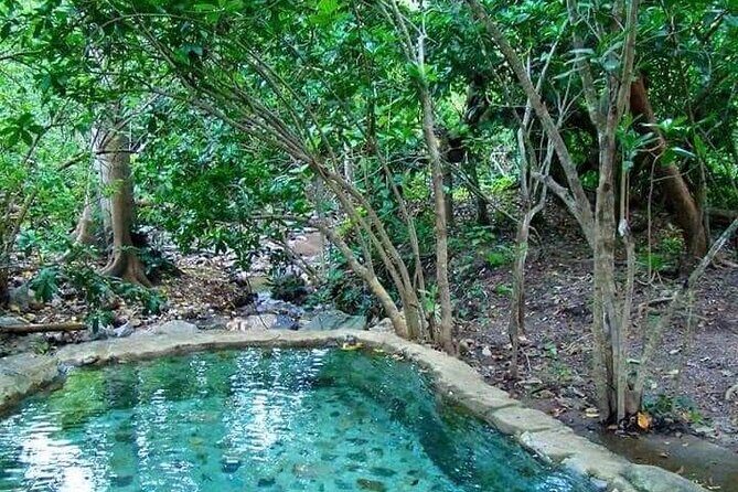 Shaded Hot Spring, Massage and Mex Grill in Puerto Vallarta - Who Will Love This Tour?