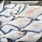 Shared Fishing Adventure in Icy Strait Hoonah Alaska - Who Will Appreciate This Tour?