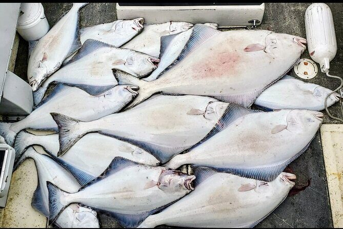 Shared Fishing Adventure in Icy Strait Hoonah Alaska - Who Will Appreciate This Tour?