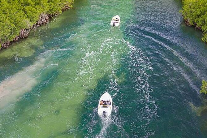 Shared Jungle Speed Boat Tour in Cancun - Authentic Experiences and Authenticity