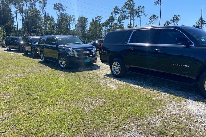 Shared Round Trip Limousine Transfer - Who Would Benefit From This Tour?