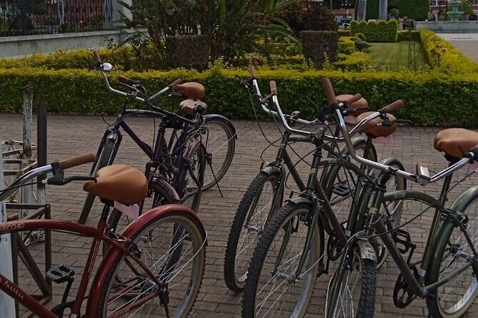 Shared Santa Maria Del Tule Bike Tour - Who Should Consider This Tour?