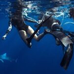 Shark Dive Private Charter No Cage - Final Thoughts