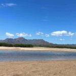 Shark Island: Tour of the largest island in Mexico - Why This Tour Is Worth It