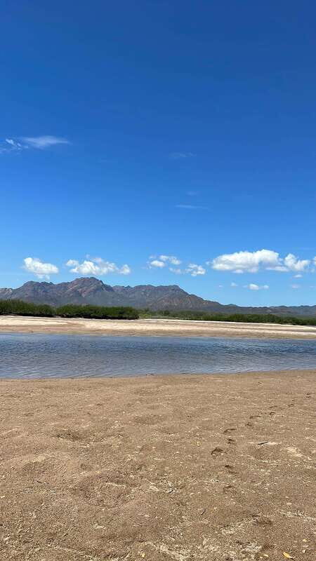 Shark Island: Tour of the largest island in Mexico - Why This Tour Is Worth It