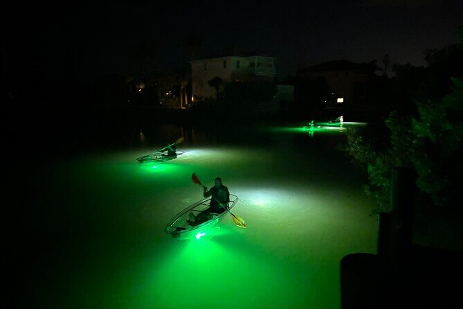Sharkey's Glass Bottom Fish Feeding LED Night Tour in Venice, FL - What to Expect During the Tour