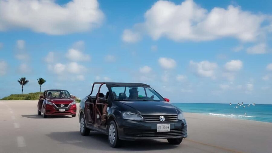 Shore Excursion: Cozumel Island Buggy Tour & Beach Visit - The Experience: What to Expect from Start to Finish
