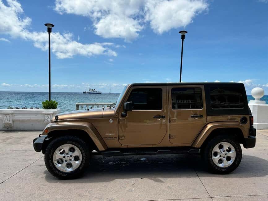 Shore Excursion: Jeep Tour to Punta Sur Park with Lunch - The Highlights and What You Should Know