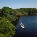 Shore Excursion Mazunte and Ventanilla Crocs & Turtles - Who Will Appreciate This Tour?