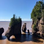 Shore Excursion to Hopewell Rocks and Fundy National Park - Final Thoughts: Who Is This Tour Ideal For?