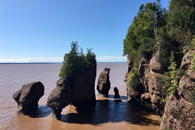 Shore Excursion to Hopewell Rocks and Fundy National Park - Final Thoughts: Who Is This Tour Ideal For?