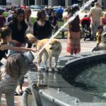 Show me the City! A Small Group Walking Tour of Toronto - A Closer Look at the Itinerary
