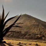 Shrine of Guadalupe and Teotihuacan Private & Small groups - Who This Tour Is Best For