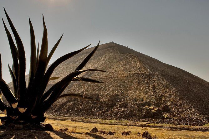 Shrine of Guadalupe and Teotihuacan Private & Small groups - Who This Tour Is Best For