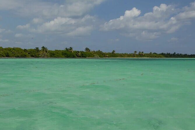 Sian Kaan Reserve Private Bike Tour - The Value of the Experience