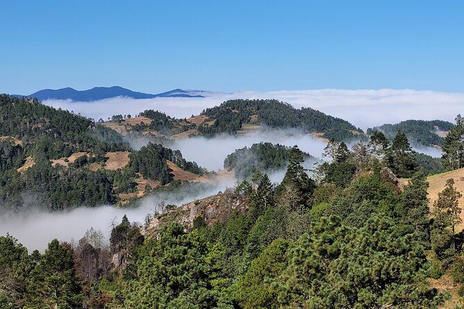 Sierra Norte Hike and Indigenous Village Full-Day Adventure - A Detailed Look at the Tour