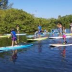 Siesta Key: Mangrove Kayak or Paddleboard Tour - What to Expect During Your Tour