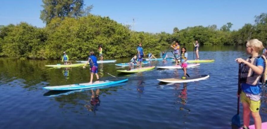Siesta Key: Mangrove Kayak or Paddleboard Tour - What to Expect During Your Tour