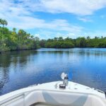 Sightseeing Cruise/Narrated Tour - Private 4 Hour - What’s Included and What to Consider