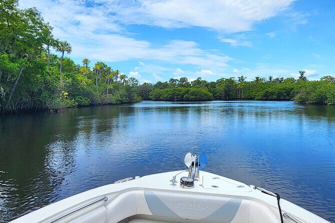 Sightseeing Cruise/Narrated Tour - Private 4 Hour - What’s Included and What to Consider