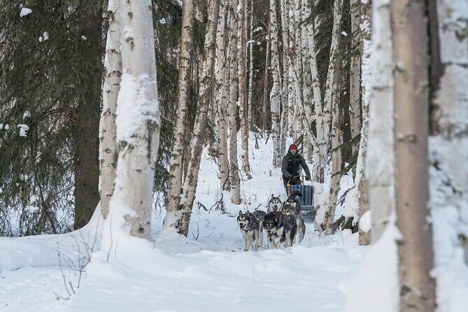 Signature Ridge Top Mush - The Value of a Private, Interactive Tour