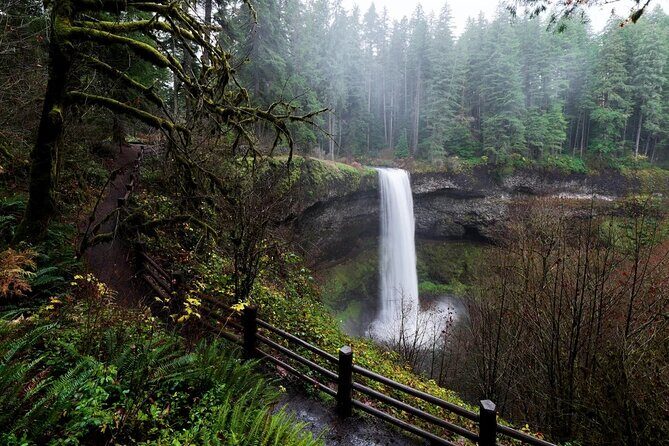 Silver Falls Private Hike Tour - The Itinerary: A Step-by-Step Breakdown