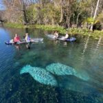 Silver Springs: Clear Kayak Wildlife Tour - Who should consider this tour?