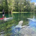 Silver Springs: Manatees, Monkeys, and Natural Spring Tour - What’s the value here?