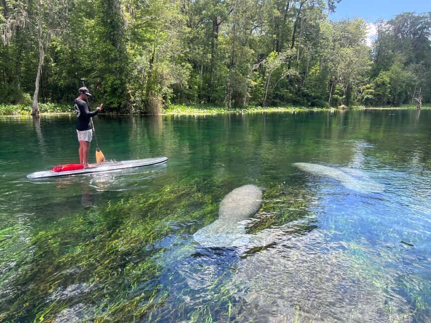 Silver Springs: Manatees, Monkeys, and Natural Spring Tour - What’s the value here?