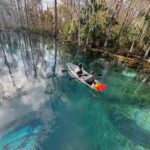 Silver Springs: Silver River Guided Kayak Tour - In-Depth Breakdown of the Experience