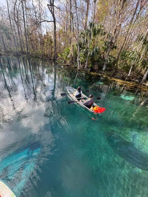 Silver Springs: Silver River Guided Kayak Tour - In-Depth Breakdown of the Experience