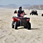 Single ATV Tour from Migriño Beach & Desert - What Travelers Are Saying