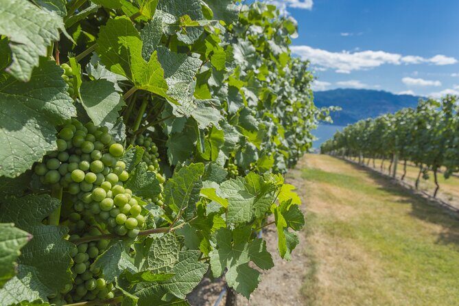 Sip & Savor: Private West Kelowna Wine Trail Escape - What We Loved About the Experience