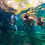 Sisal: Picnic PREMIUM en medio del mar y snorkel manantial - Authenticity and Value: Why Choose This Tour