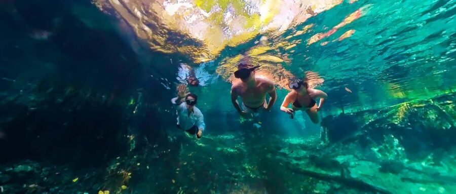 Sisal: Picnic PREMIUM en medio del mar y snorkel manantial - Authenticity and Value: Why Choose This Tour