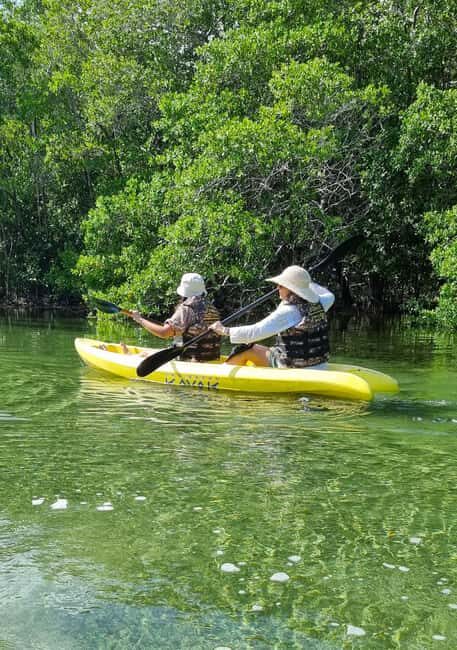 Sisal Yucatán: Snorkeling in a jungle spring and mangrove exploration - Kayaking and Bird Watching