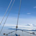 Sitka Boat Tours: whale watching, hot springs, kayaking - Final thoughts: Is it worth it?