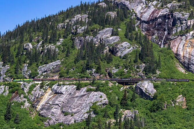 Skagway City Tour and White Pass Summit Adventure - Who Will Love This Tour?