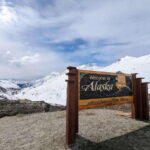 Skagway: Klondike Highway & Yukon Bus Tour with Husky Kennel - Who Will Love This Tour?