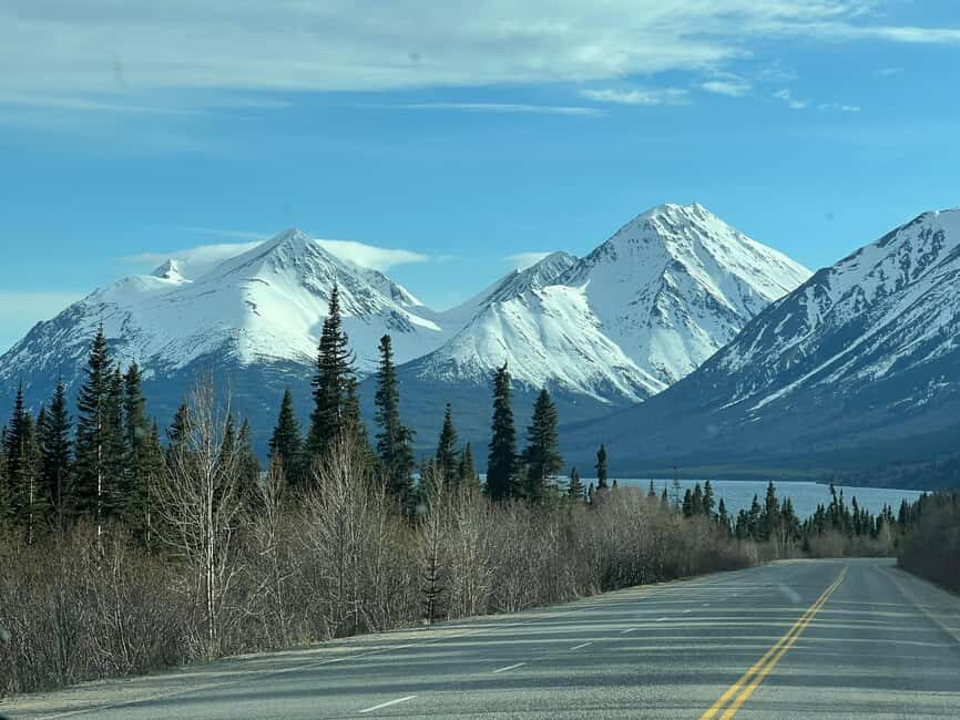 Skagway: Yukon Discovery Tour - What We Like About the Tour
