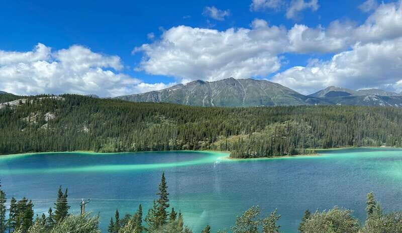 Skagway: Yukon Dog Mushing & Sightseeing Tour - A Closer Look at the Yukon Dog Mushing & Sightseeing Tour
