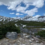 Skagway: Yukon Suspension Bridge & Summit Tour - Final Thoughts: Is It Worth It?