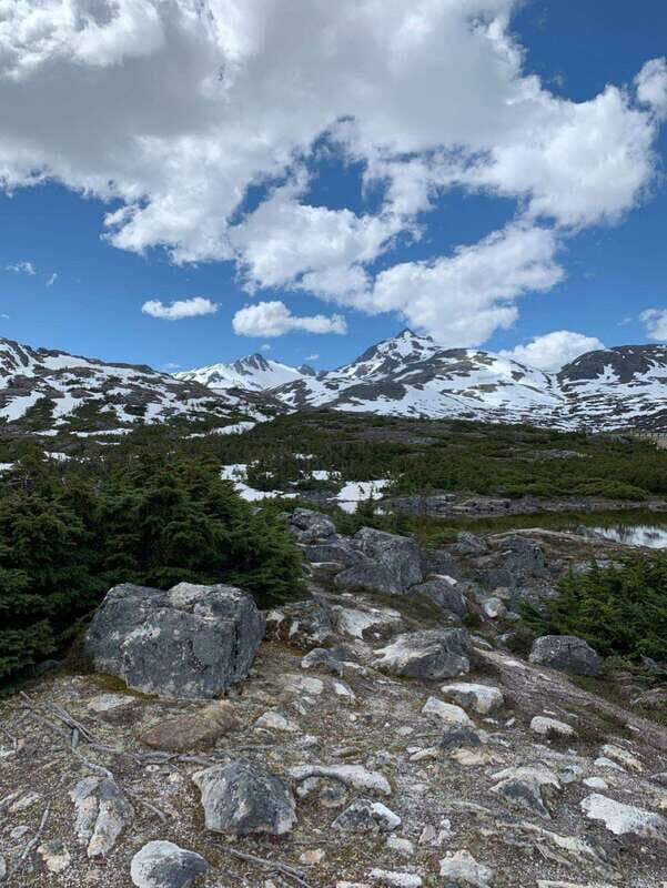 Skagway: Yukon Suspension Bridge & Summit Tour - Final Thoughts: Is It Worth It?