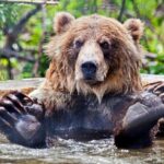 Skip the Line: Kamloops BC Wildlife Park Admission Ticket - Who Should Visit?