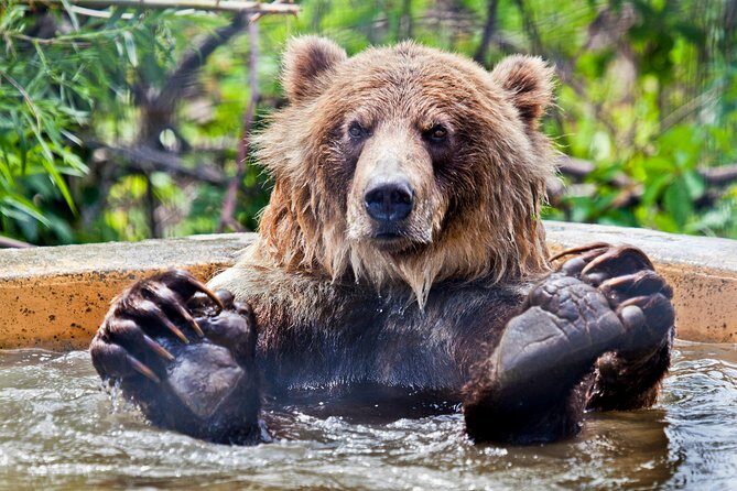 Skip the Line: Kamloops BC Wildlife Park Admission Ticket - Who Should Visit?